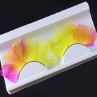 Aimo - Colored Feather Eyelashes | YesStyle