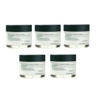Buy Pyunkang Yul - ABW Free Gift Bundle - Pyunkang Yul Calming Moisture ...