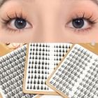 Lashie - False Eyelashes ( Various Designs ) | YesStyle