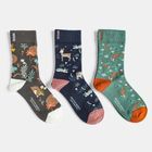 QUICKSOOX - All Over Animal Socks / Set (3 Pairs) | YesStyle