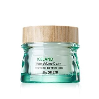 The Saem - Iceland Water Volume Hydrating Cream (For Oily Skin) 80ml ...