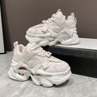 Novice - Lettering Platform Lace-Up Sneakers | YesStyle