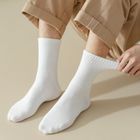 Sock Kingdom - Plain Cotton Socks | YesStyle