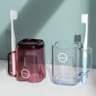 Home Flora - Transparent Toothbrush Cup | YesStyle
