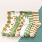 Sock Kingdom - Printed Socks | YesStyle