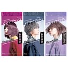 hoyu - Beauteen Hair Make Up Color | YesStyle