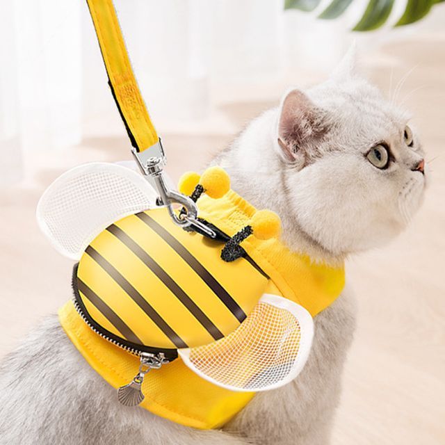 Cissilli - Bee Pet Harness with Leash | YesStyle
