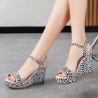 Kristallica - Leopard Print Platform Wedge Heel Sandals | YesStyle