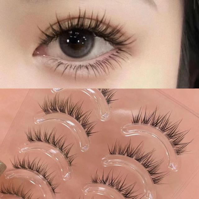 Mogugu - False Eyelashes | YesStyle