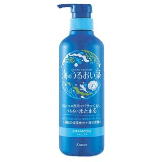 Buy Kracie - Moisturizing Algae Of The Sea Shampoo in Bulk ...