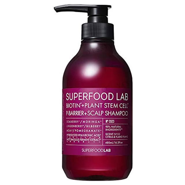 SUPERFOOD LAB - BT+P Barrier Scalp Shampoo | YesStyle