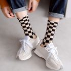 Sock Kingdom - Checker Socks | YesStyle