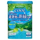 BATHCLIN - Cool Bath Salt | YesStyle