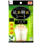 DAISO - Foot Sap Sheet Mugwort | YesStyle