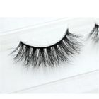 Aimo - False Eyelashes (12-13 mm) | YesStyle