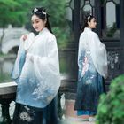 Tangier - Fox Embroidered Slit-Side Hanfu Long Light Jacket | YesStyle