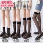 Geisha - Sheer Socks / Set | YesStyle