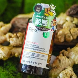 Buy ZOOLY - No.6 Ginger Scalp Repair & Nourish Shampoo in Bulk | AsianBeautyWholesale.com