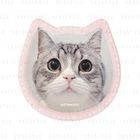 DAISO - Motimaru Paper Platet | YesStyle