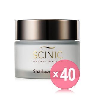 Buy SCINIC - Snail Matrix Cream 50ml (x40) (Bulk Box) in Bulk ...