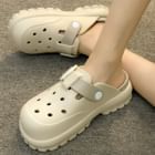 Novice - Two Tone Buckled Clogs | YesStyle