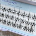 Aimo - False Eyelashes | YesStyle