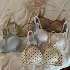 ever after - Wireless Push-Up Dotted Bra Top in 5 Colors | YesStyle