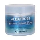Charm Zone - Albatross Waterfull Power Cream 100ml | YesStyle
