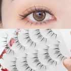 Lashie - Set of 5 Pairs: Natural Wispy Clear Band False Eyelashes ...