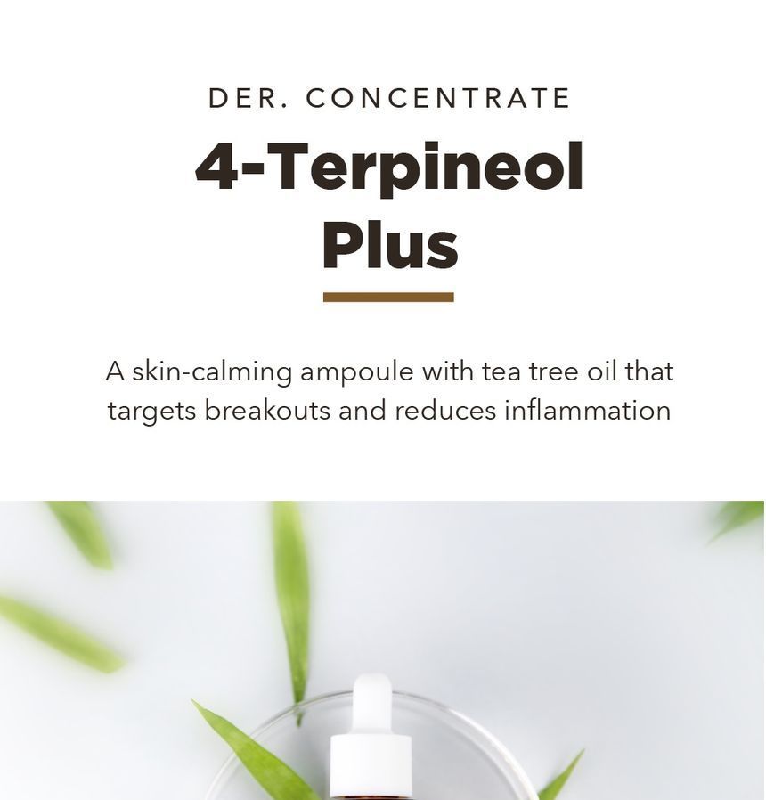 Buy RNW - DER. CONCENTRATE 4-Terpineol Plus (x144) (Bulk Box) in Bulk ...