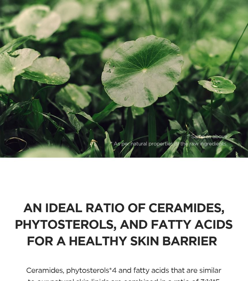 Buy SKIN1004 - Madagascar Centella Glow 1004 Duo Set in Bulk ...