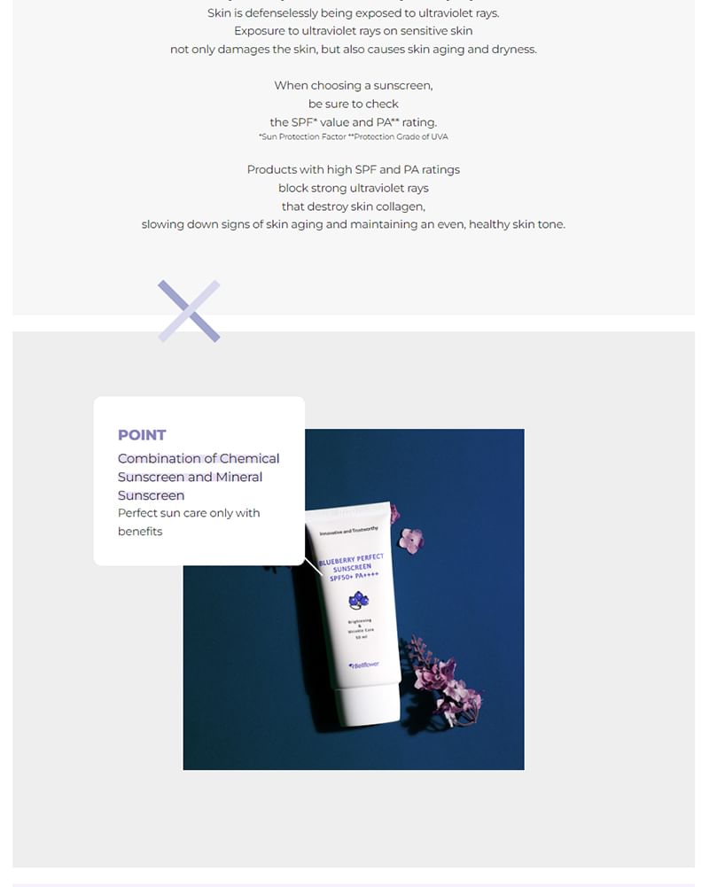 Buy Bellflower - Blueberry Perfect Sunscreen in Bulk ...