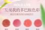 HOLD LIVE - Lip Glaze - 4 Colors (5-8) | YesStyle