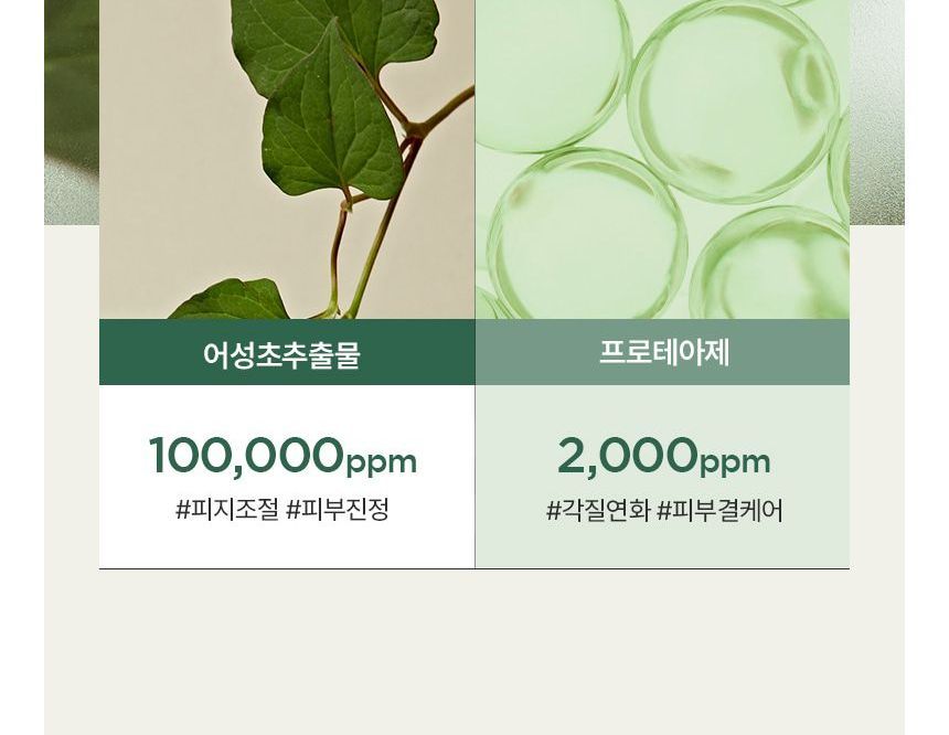 Buy Anua - Heartleaf Pore Clay Pack (x50) (Bulk Box) in Bulk ...