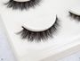 Aimo - False Eyelash | YesStyle