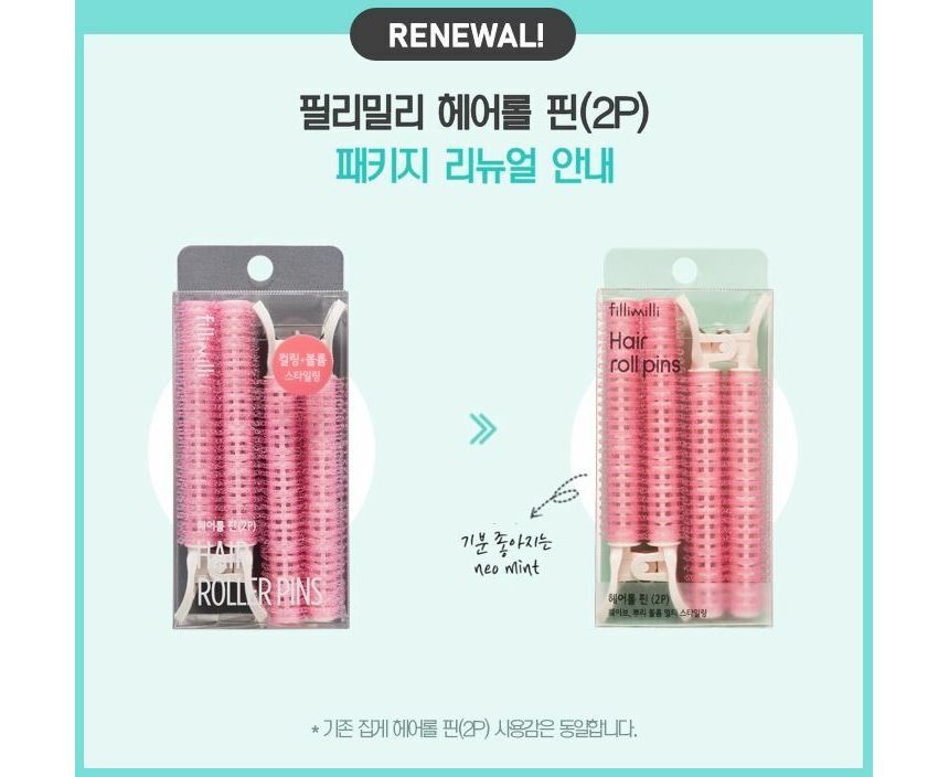 Buy fillimilli - Hair Roll Pins (x6) (Bulk Box) in Bulk ...