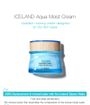 The Saem - Iceland Aqua Moist Cream | YesStyle