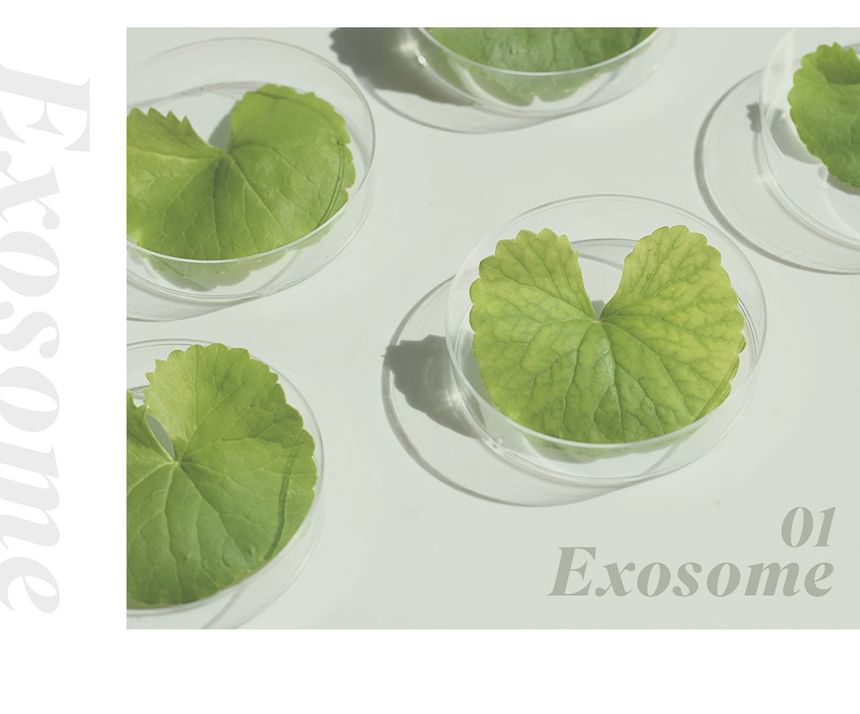 Buy NEOGEN - Dermalogy High R Exosome Cream in Bulk ...