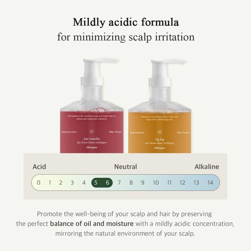 Buy FREE MOMENT - Refresh Moment Perfume Shampoo - 2 Types (x9) (Bulk Box) in Bulk ...