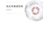 Haa - Astaxanthin Lip Balm | YesStyle