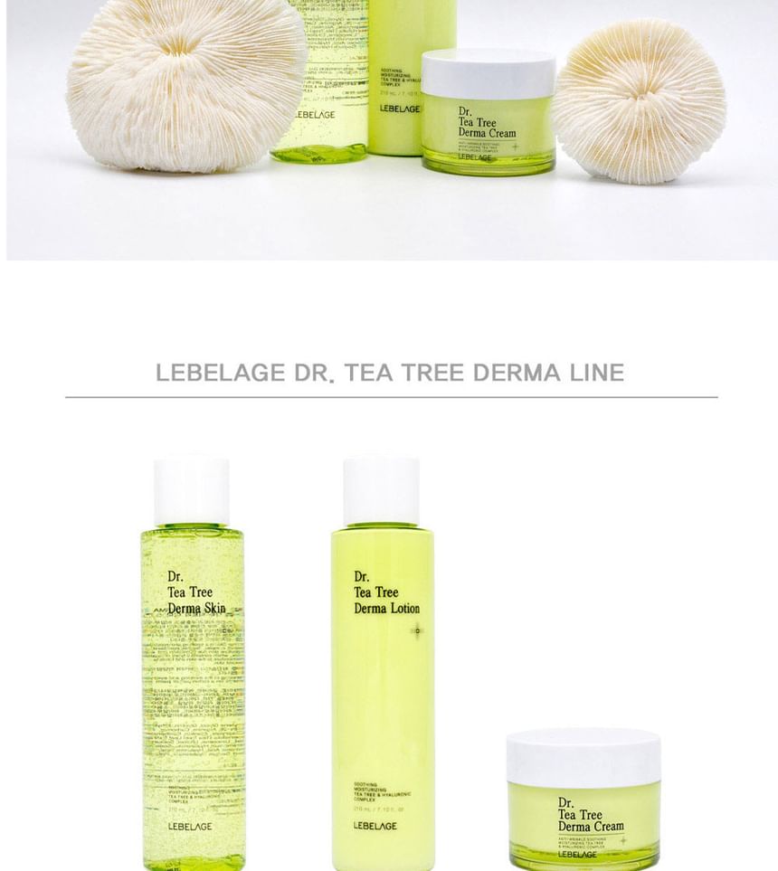 Buy LEBELAGE - Dr. Tea Tree Derma Cream in Bulk | AsianBeautyWholesale.com
