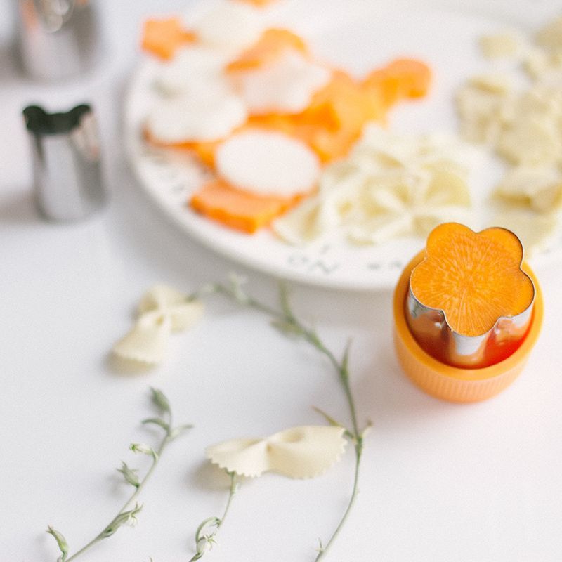 Domino Vegetable Mold Set | YesStyle