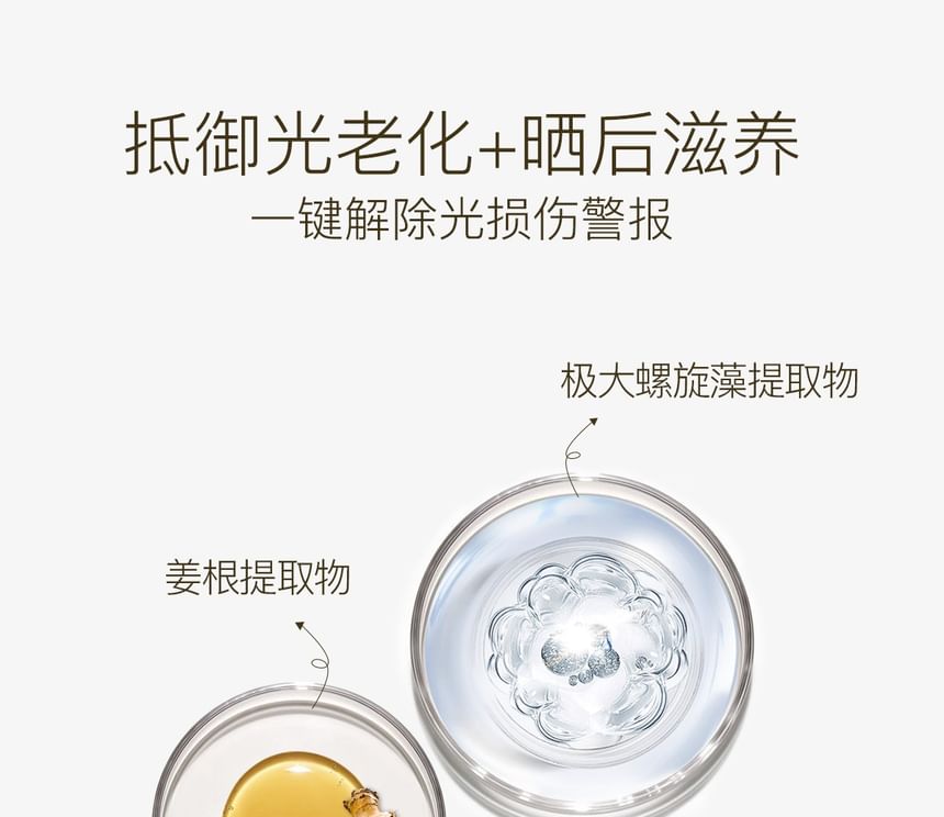 Buy OSITREE - Dynamic Whitening Sunscreen SPF 50+ PA+++ in Bulk ...