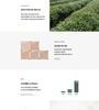 MIGUHARA - Green Tea Calming Essence Cream Origin | YesStyle