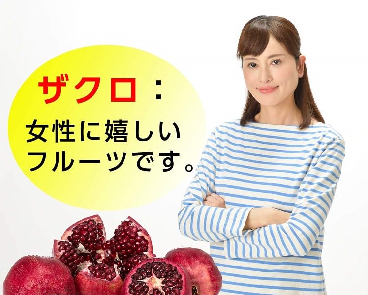 Buy FINE JAPAN - Pomegranate Tablets (x24) (Bulk Box) in Bulk ...