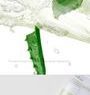 Isntree - Aloe Soothing Gel Fresh Type | YesStyle