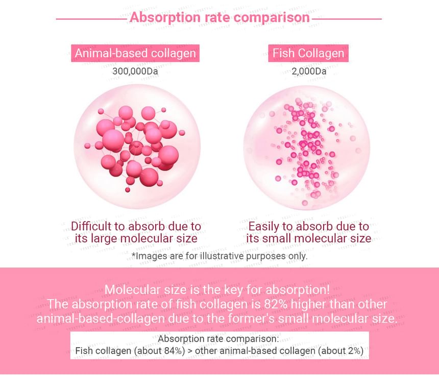 Buy BOTO - Small Molecular Collagen C in Bulk | AsianBeautyWholesale.com