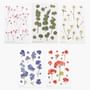 Tivi Boutique - Plant Sticker (Various Designs) / Set | YesStyle