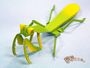 EZ Paper Things - Mantis DIY 3D Paper Model Toy | YesStyle