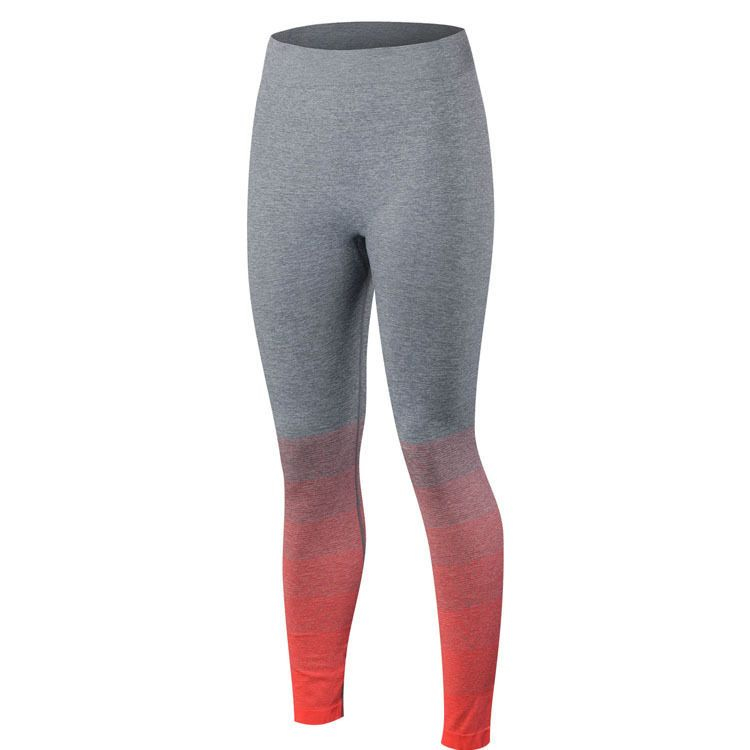 FoxFlair Gradient Sport Training Pants | YesStyle